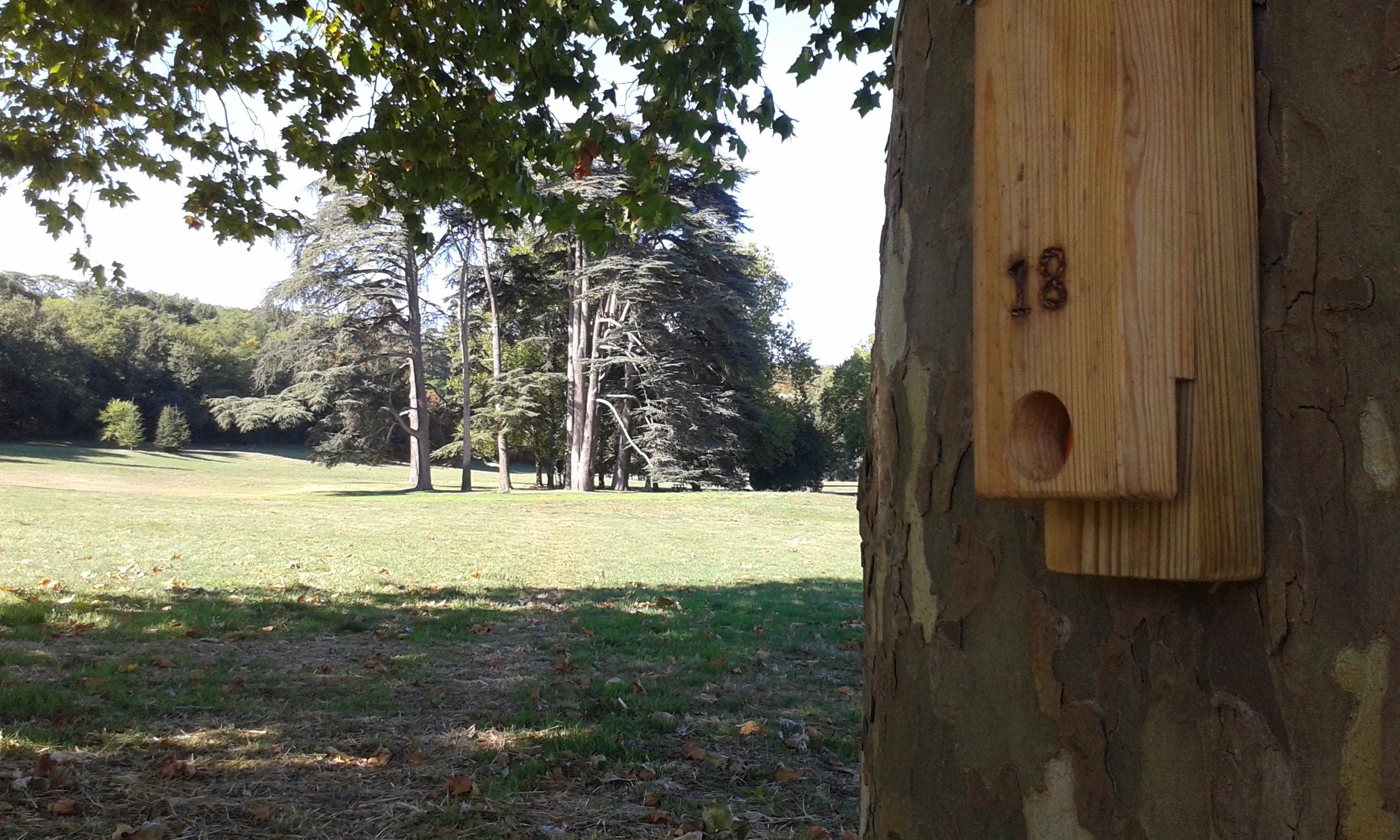 Parcours d'Orientation - Mairie d'Airvault